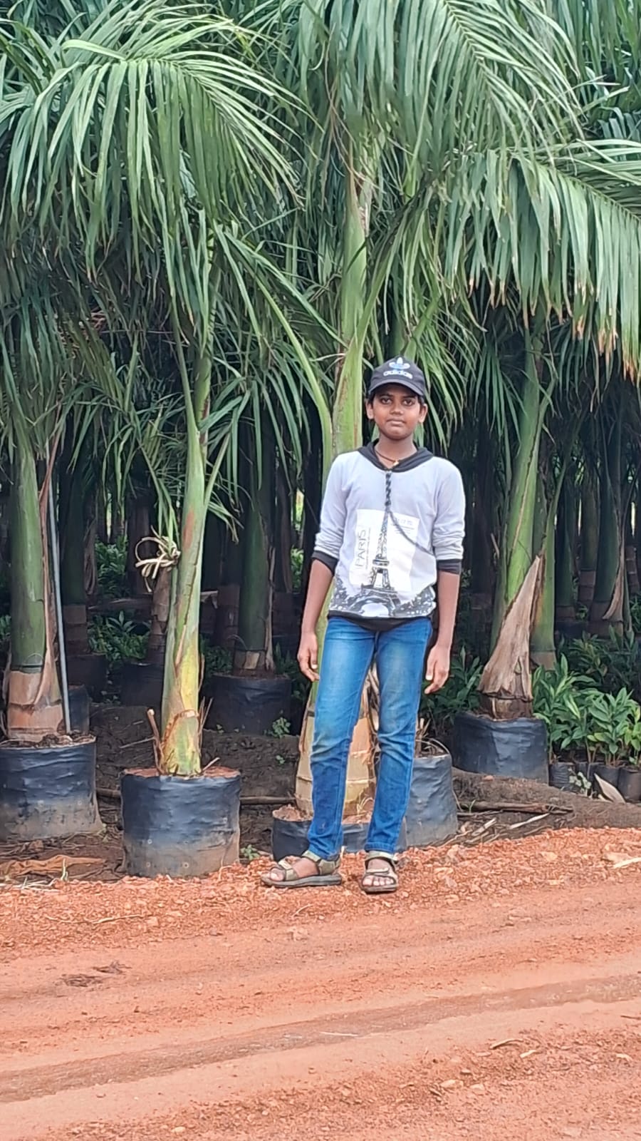 Sri Surekha Durga Nursery