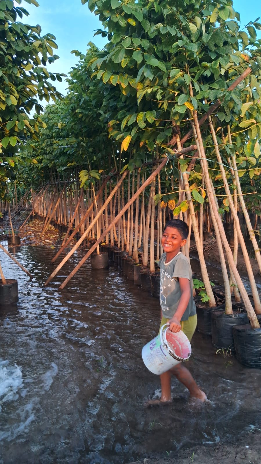 Sri Surekha Durga Nursery