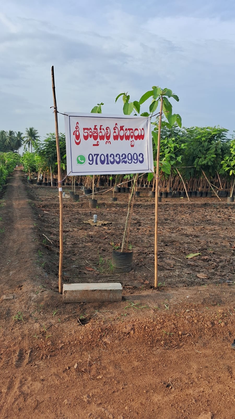 Sri Surekha Durga Nursery